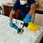 Home | General Cleaning Profesional Professional